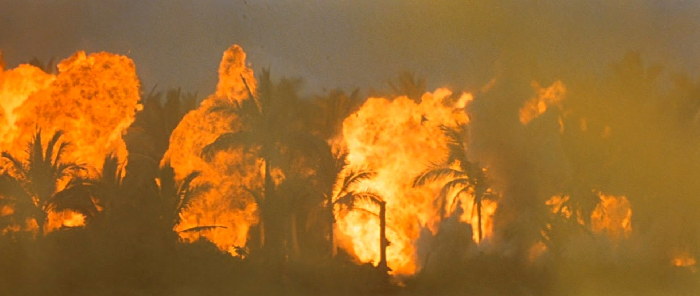 Vende la casa, vende el auto, vende los niños. :: Colectivo FAC ...